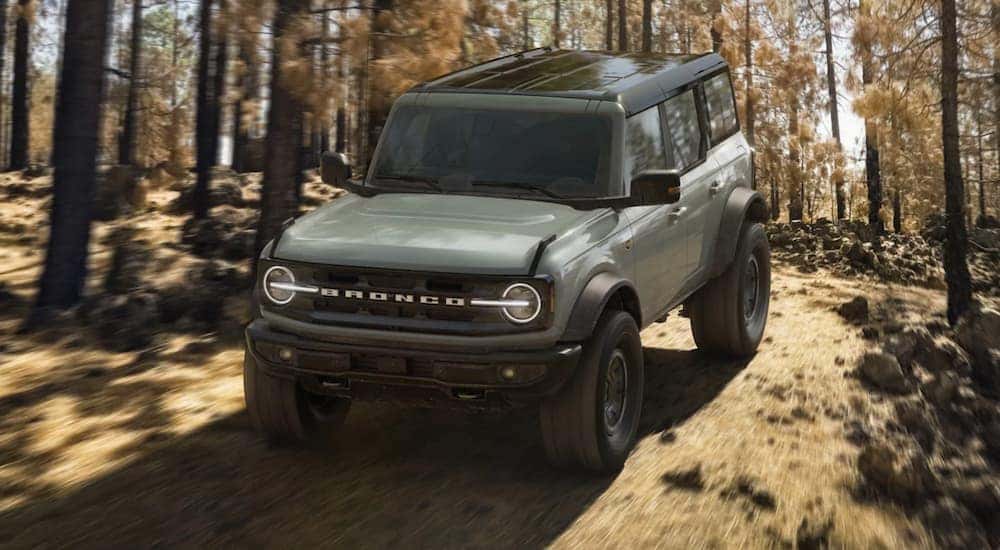New & Pre-Owned Ford Dealer Serving Colorado Springs, CO