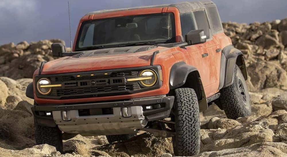 Ford Bronco Dealer Near Me | SUVs for Sale in Canon City, CO