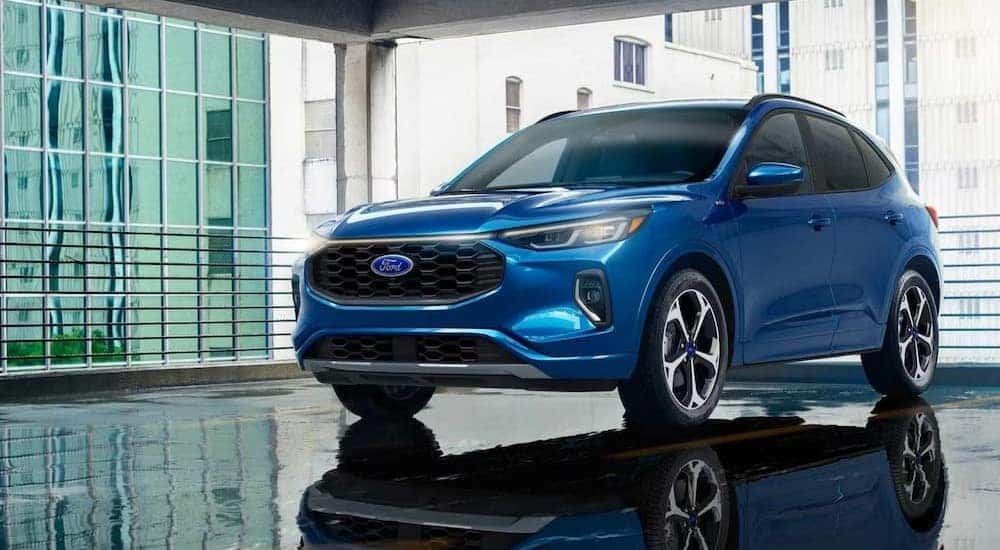 Escape the Ordinary in a Ford Escape ST-Line near Florence, CO