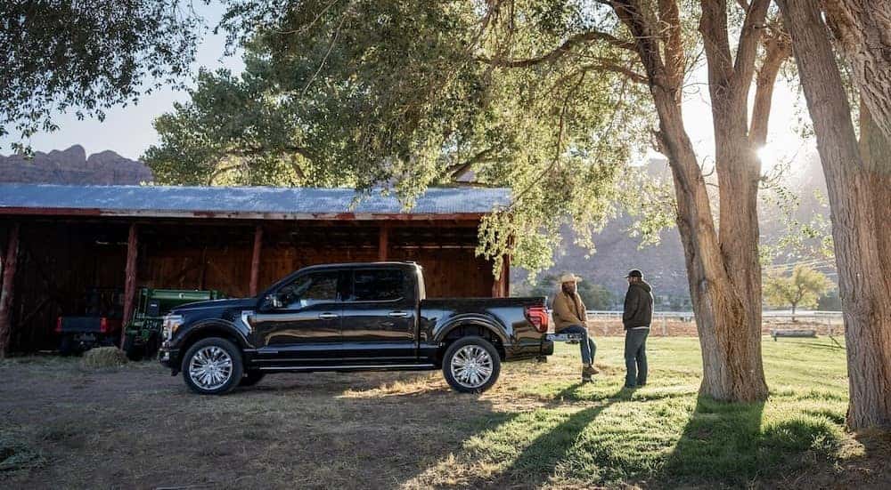 An In-Depth Look at the 2025 Ford F-150 XLT | Truck Dealer