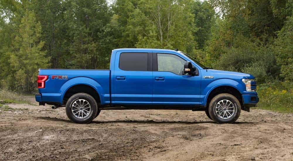 The Amazing Diversity Found in Used Ford Vehicles