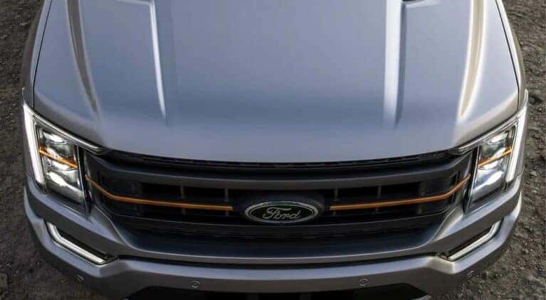 Murfreesboro F-150 Dealer | Newton Ford South