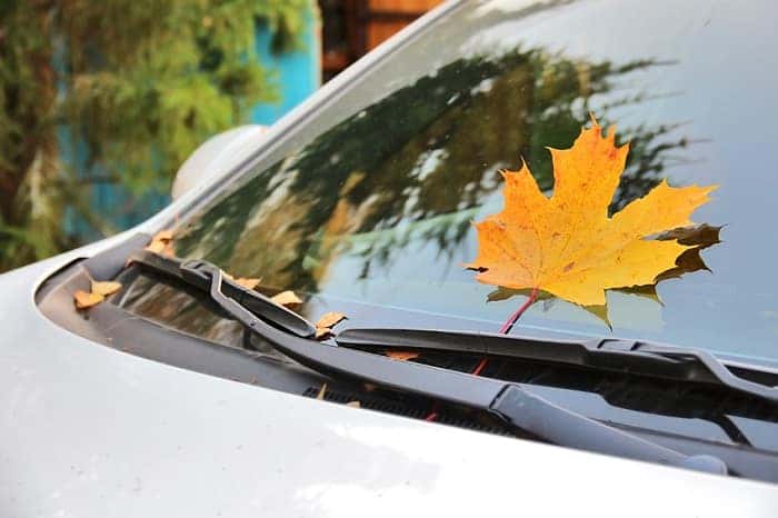 Prepare Your Ford Vehicle for Fall with Woodhouse Ford South ...